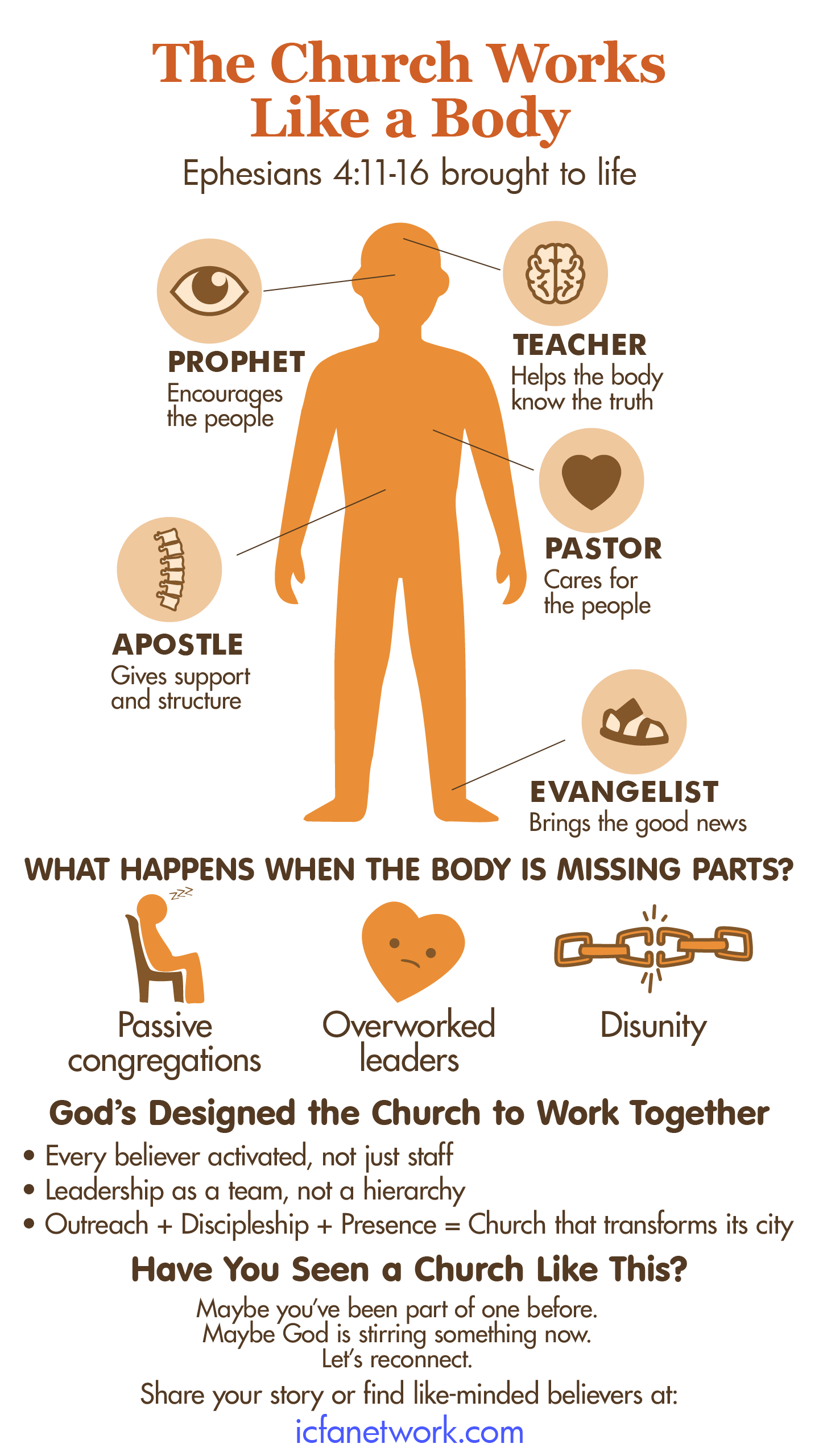 The Church Works Like a Body | IASIS Christ Fellowship Apostolic Network